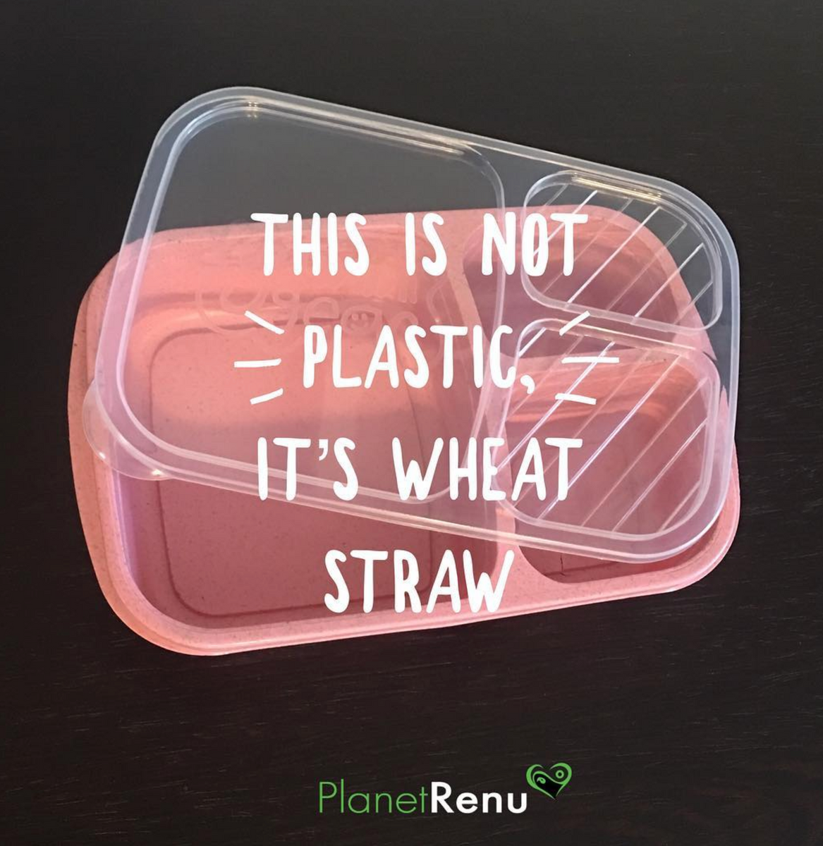 Wheat Straw Food Storage Containers Rock! – Planet Renu