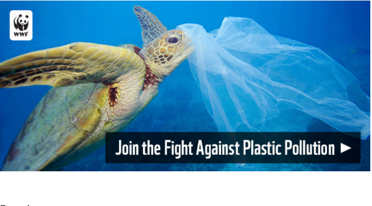 Join the Fight Against Plastic Pollution – Planet Renu