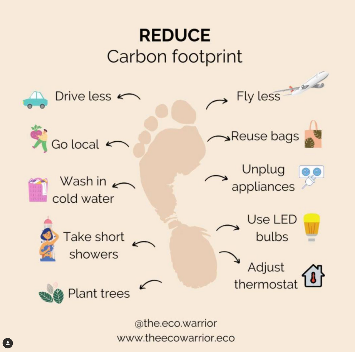 Eco Tips- Reducing Your Carbon Footprint – Planet Renu