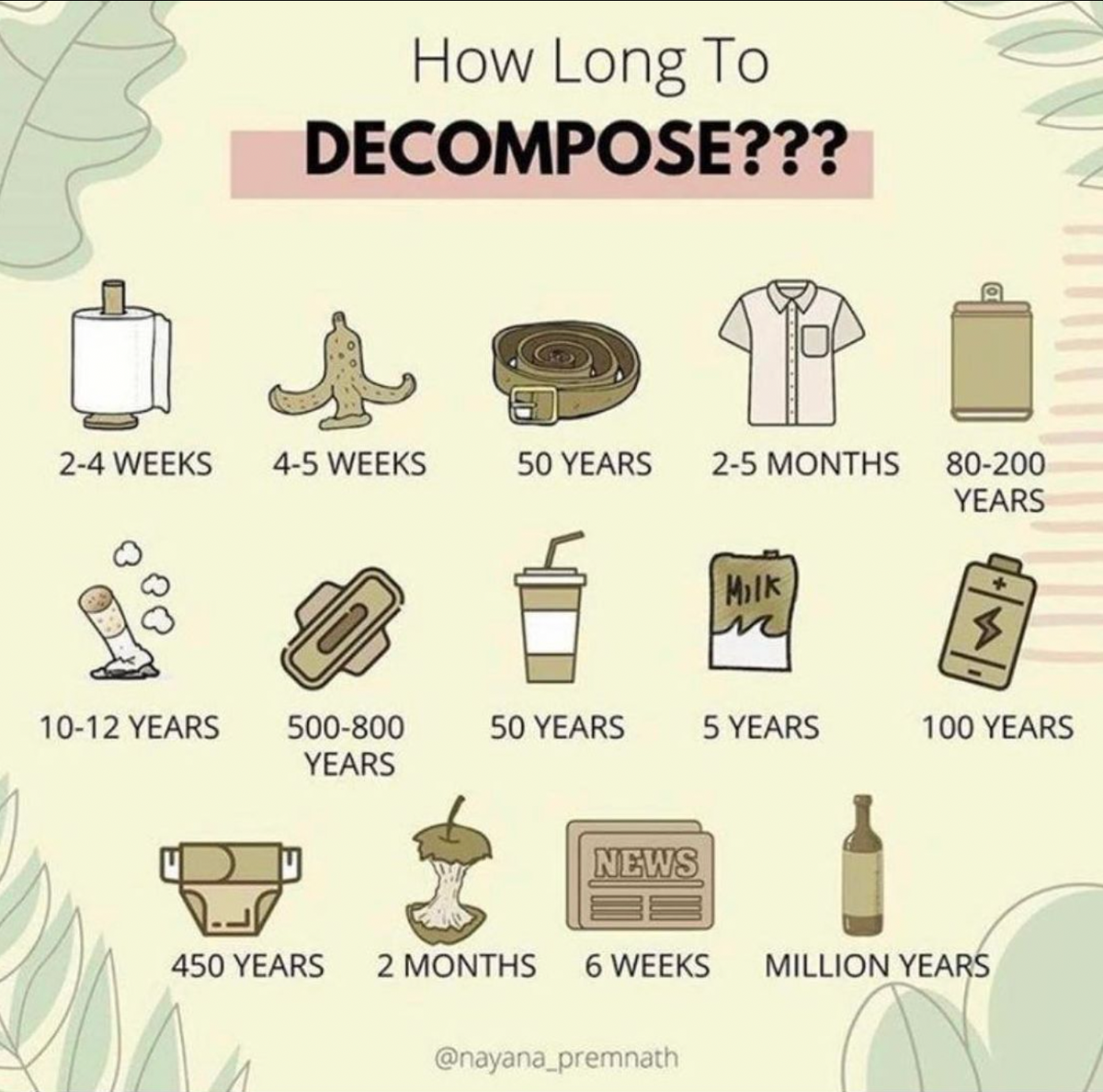 How Long To Decompose? – Planet Renu